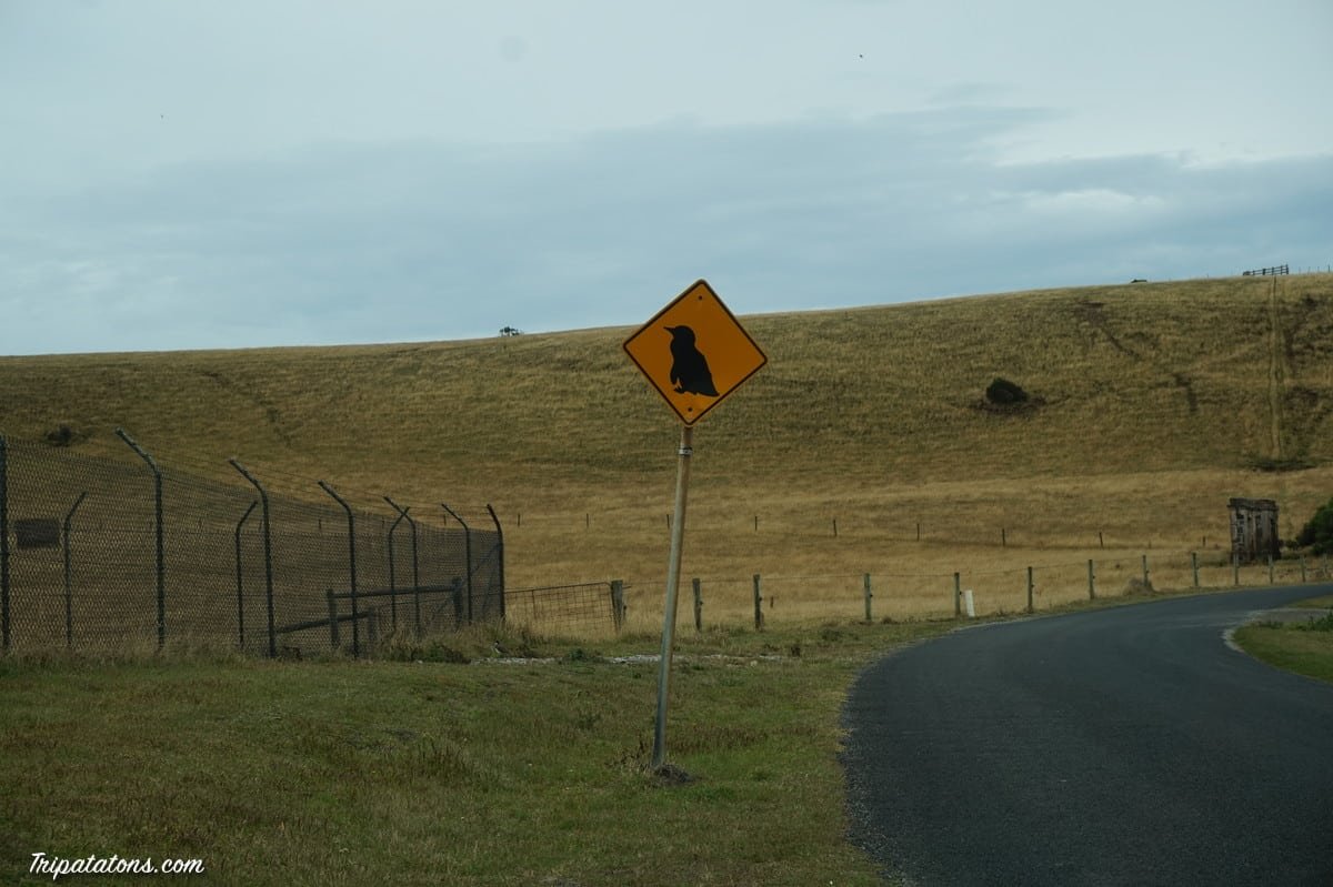 Alum Cliffs State Reserve et The Nut – TripATatons